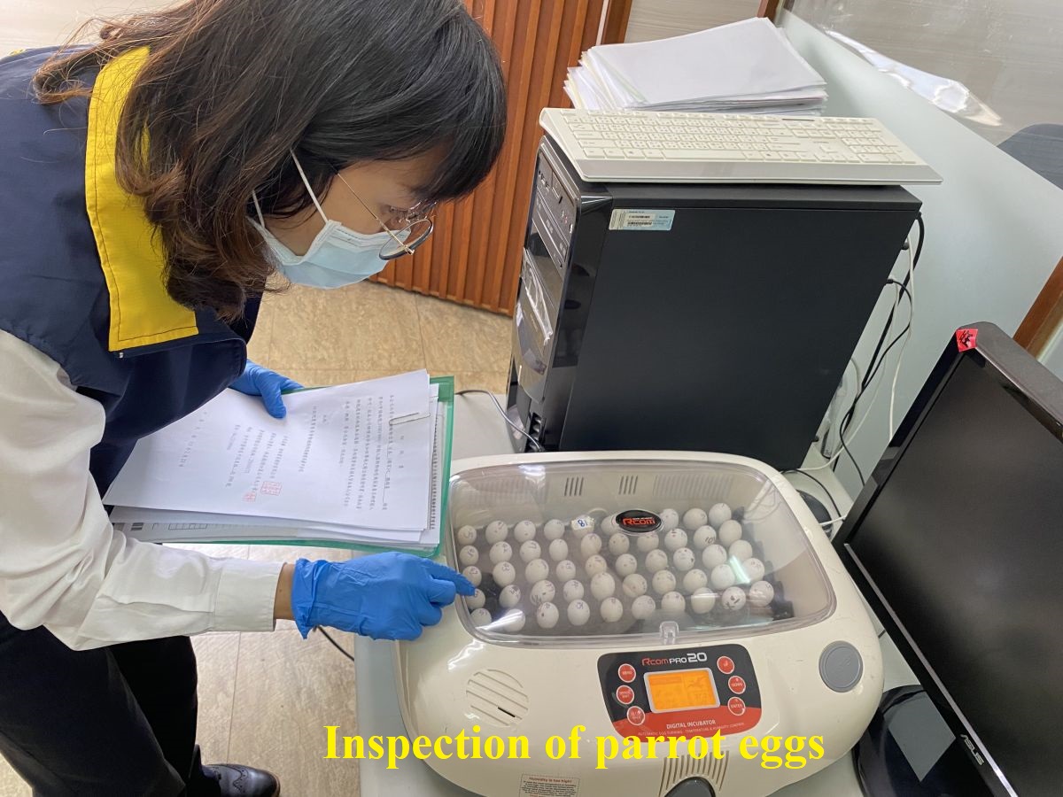 Animal Quarantine(動植物防疫檢疫署臺中分署)